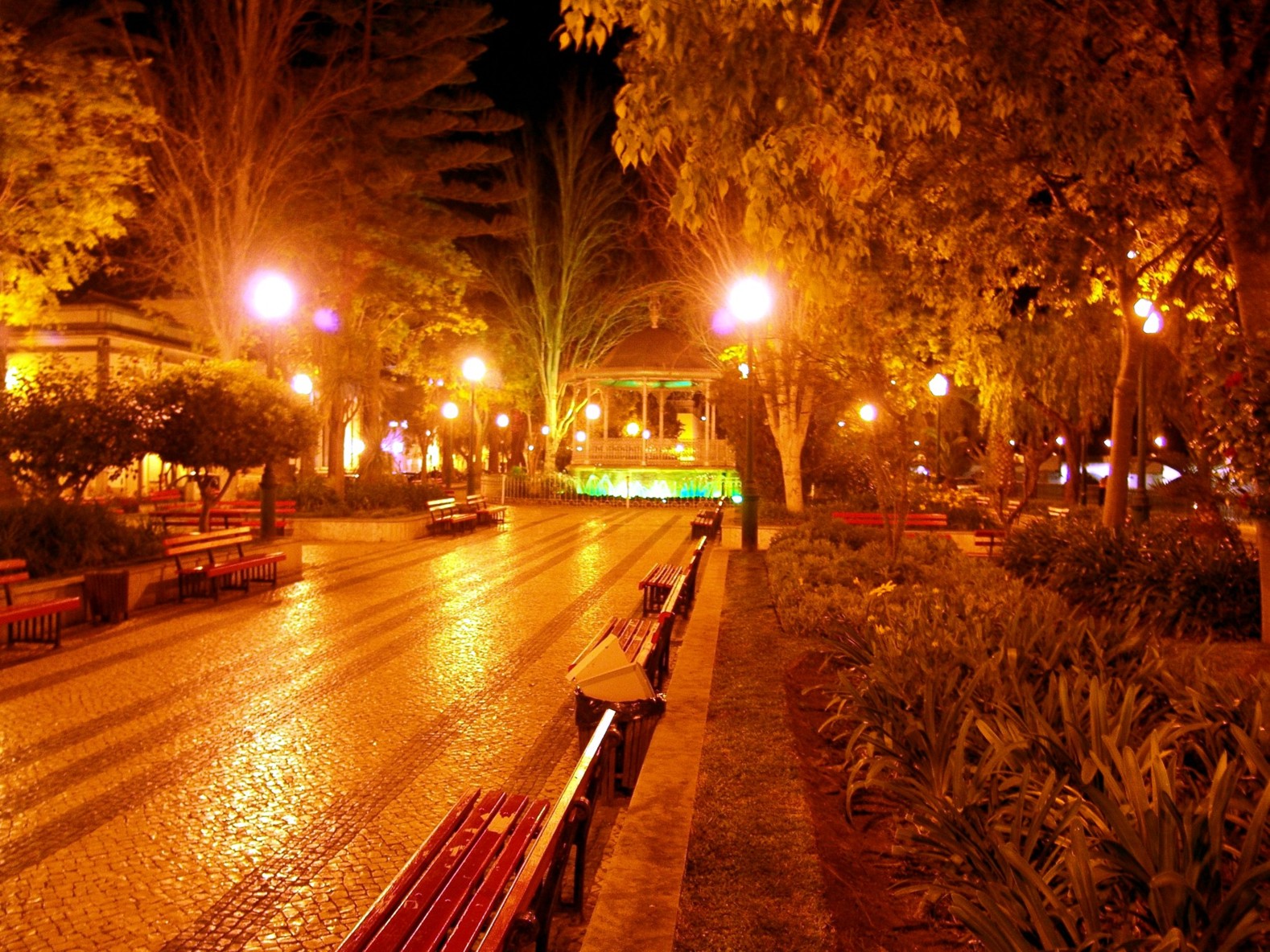 Viagem à volta da Vida: O Jardim do Coreto